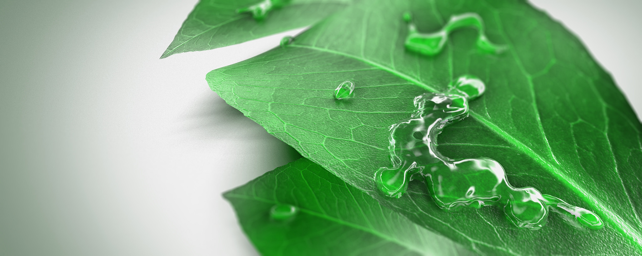 Home [www.hikal.com]