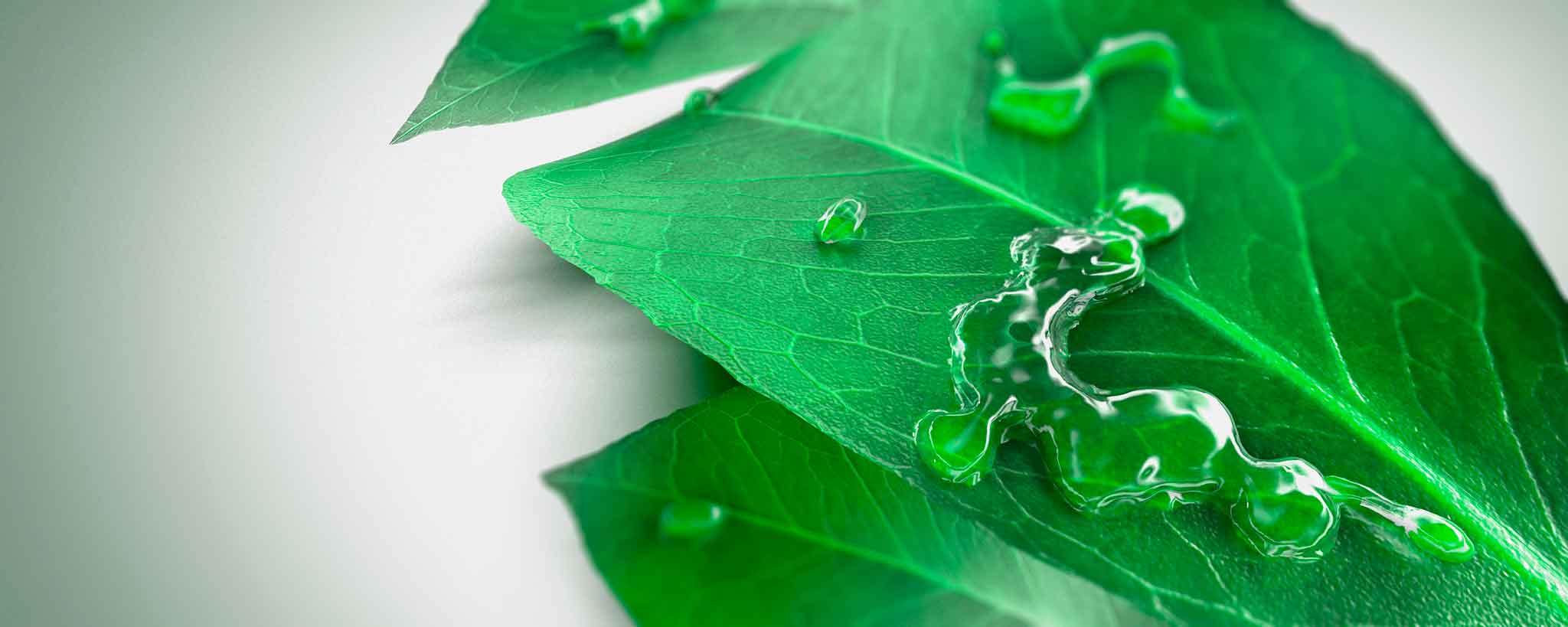 Home [www.hikal.com]